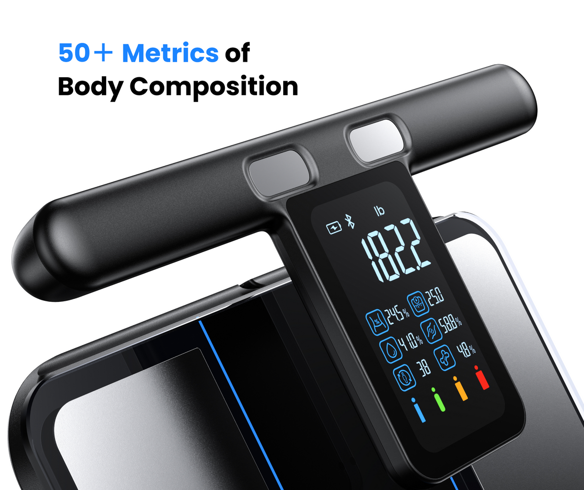 MorphoScan Smart Body Scale – Renpho UK